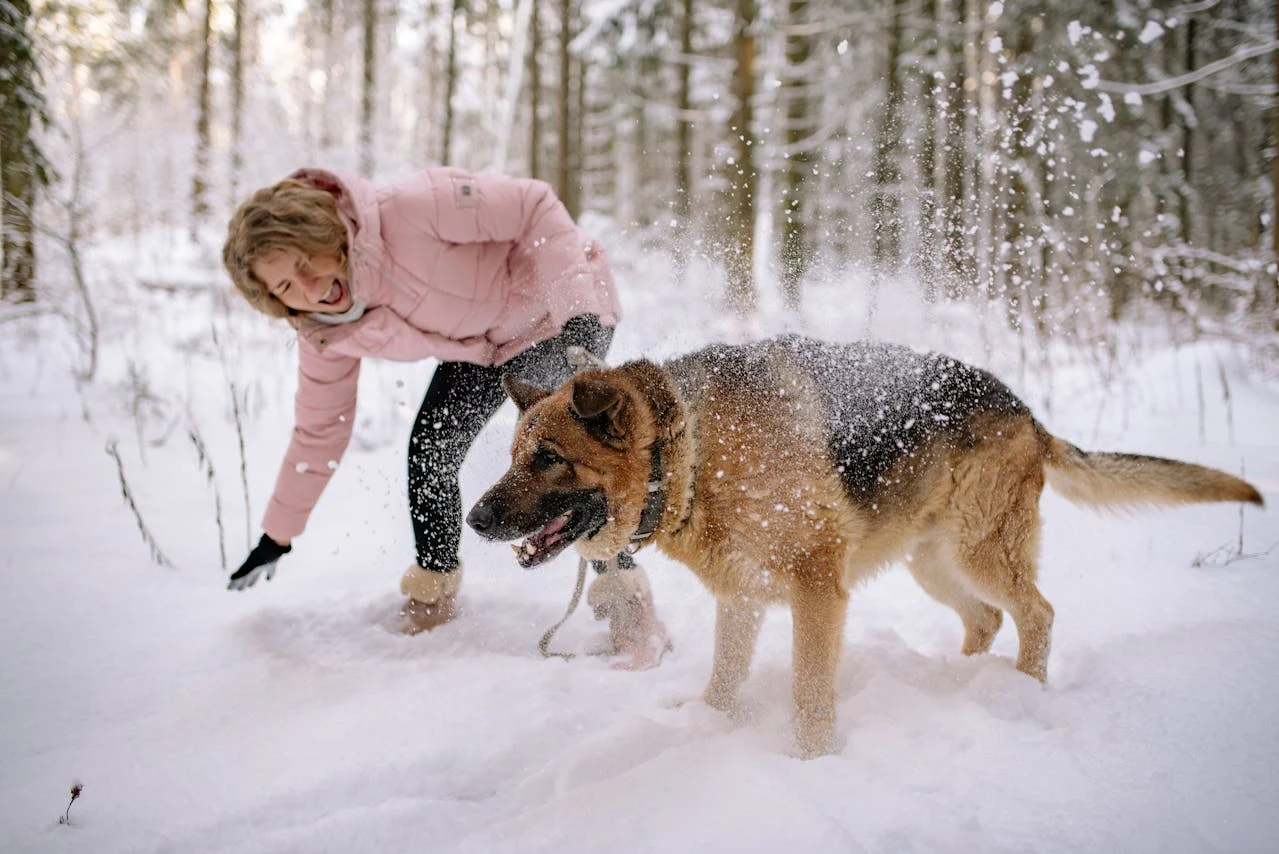 Sisu: The Finnish Approach to Resilience and Simple Strength ...